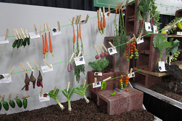 Horticulture – WSF Competitions