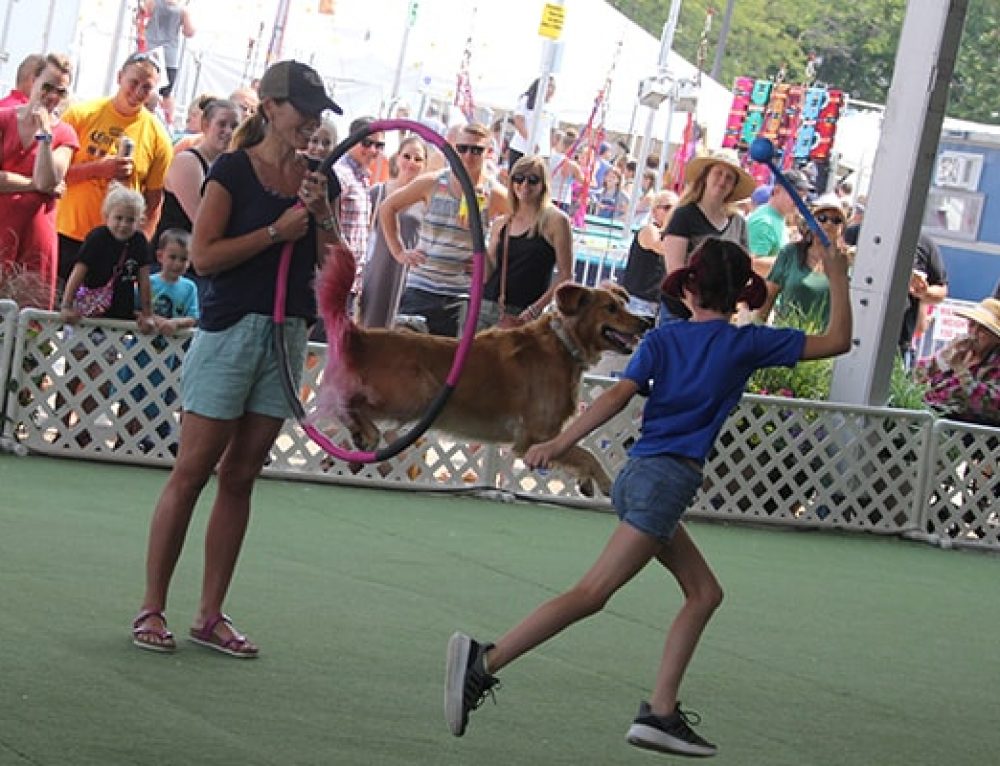 Competitive Exhibits & Specialty Contest Judging Results – WSF Competitions